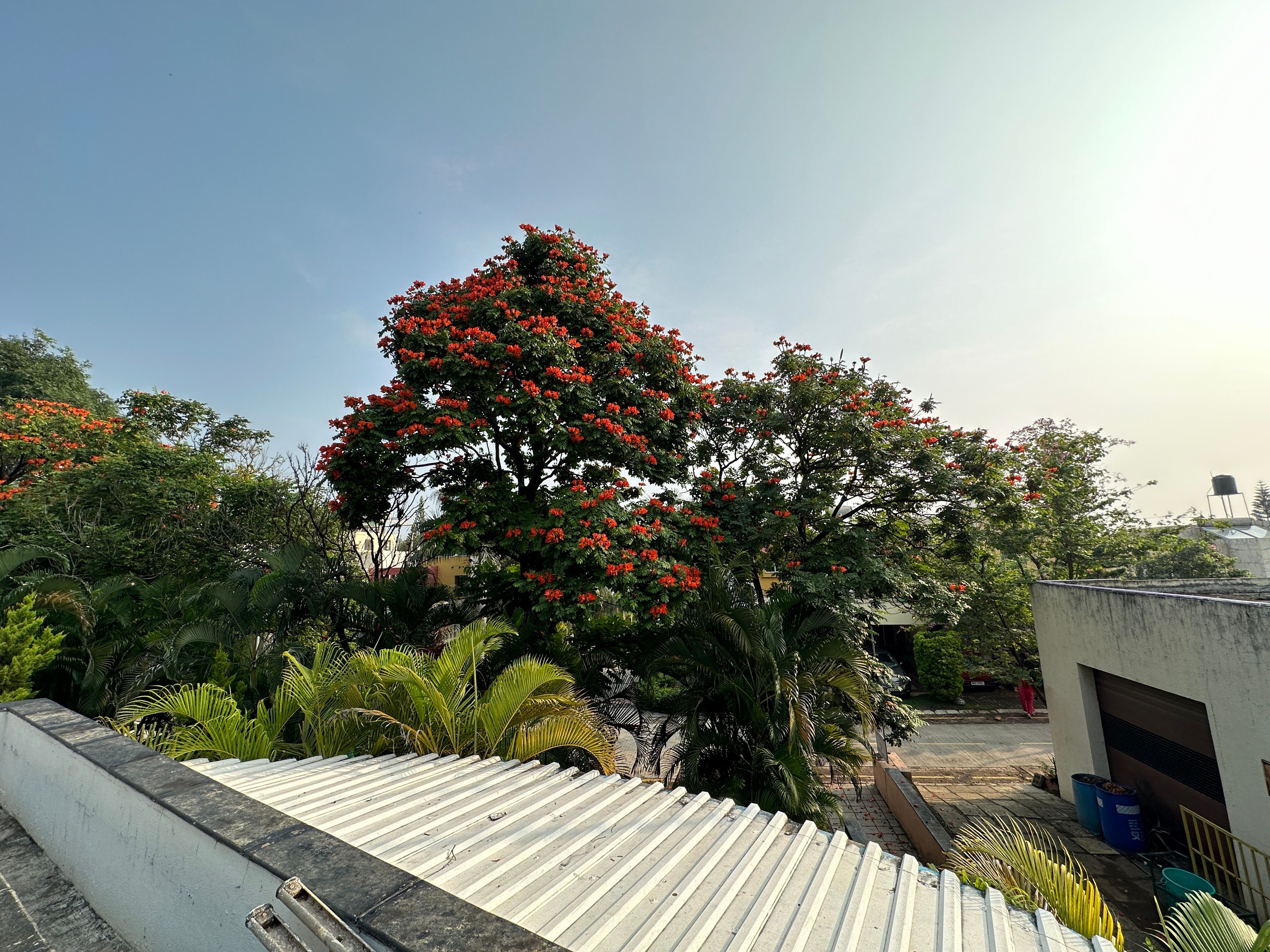 iPhone 14 Pro Review: What upgrades did I notice in one month?