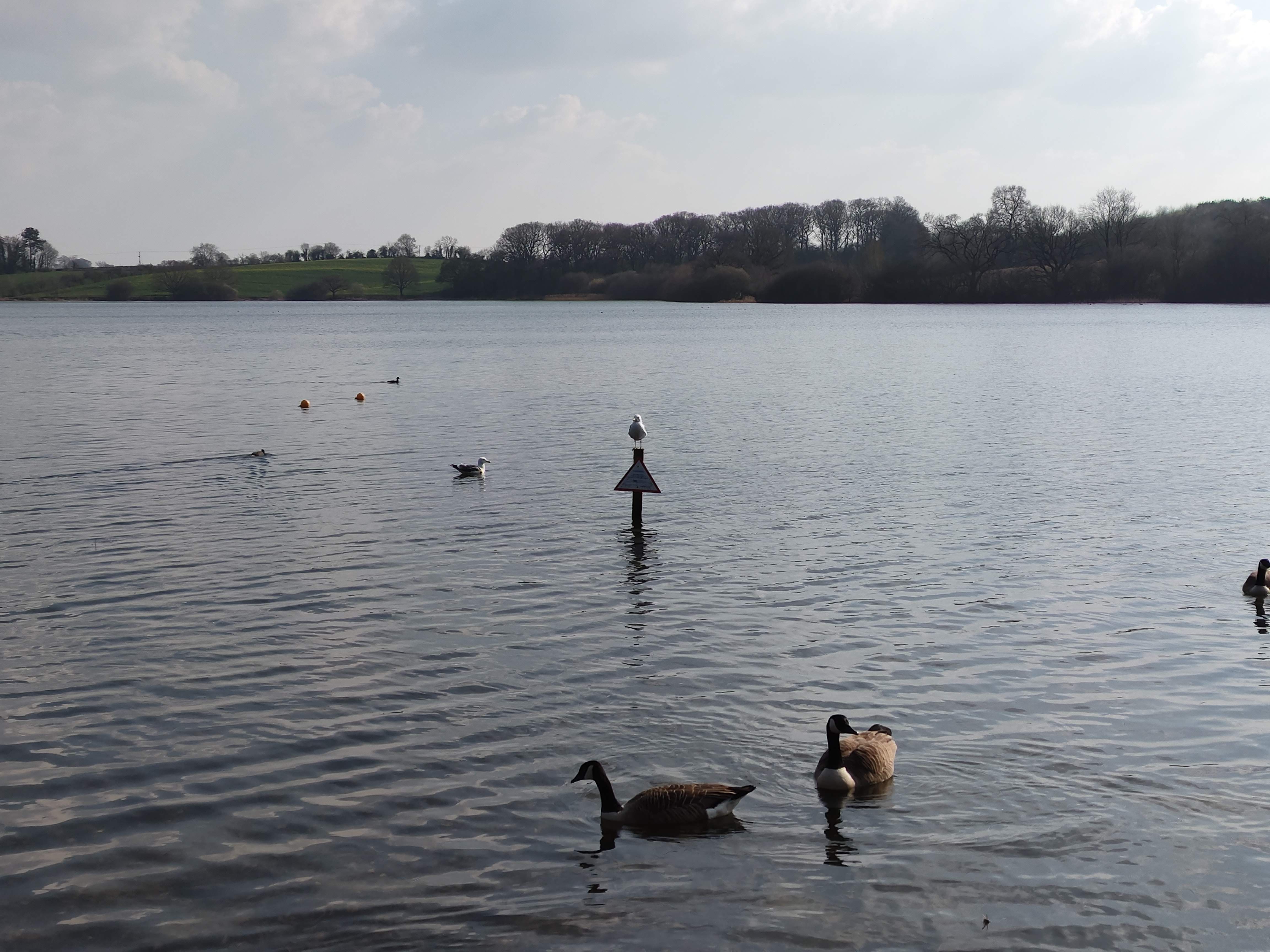 nubia REDMAGIC 7 Pro Review: It changed my mind about gaming phones