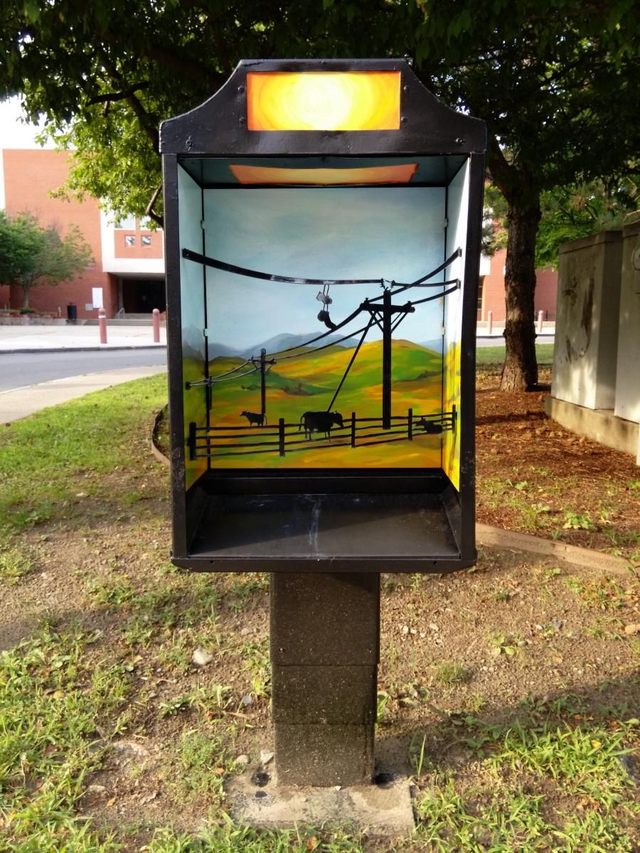 Here’s what the Amazon Fire Phone camera can do