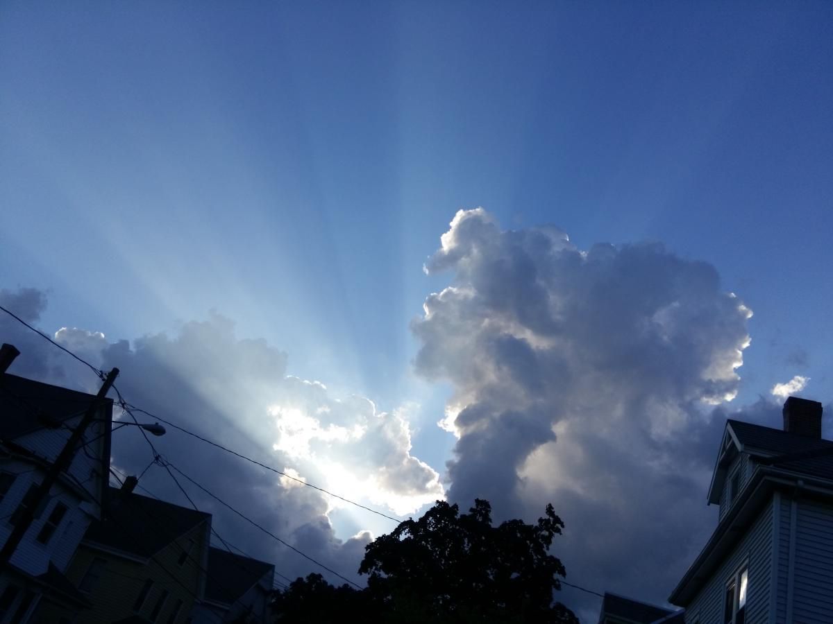 Here’s what the Amazon Fire Phone camera can do