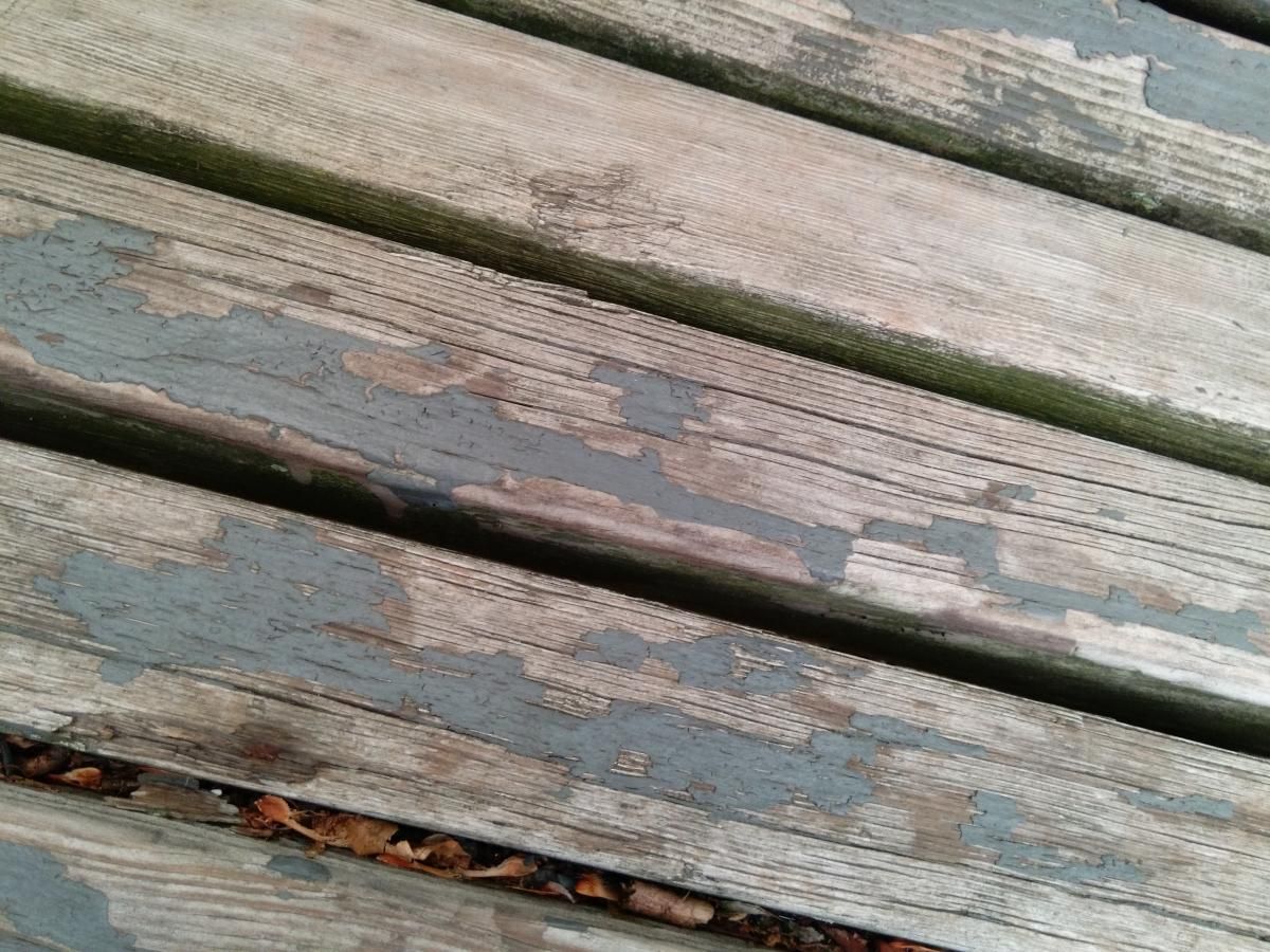 Here’s what the Amazon Fire Phone camera can do