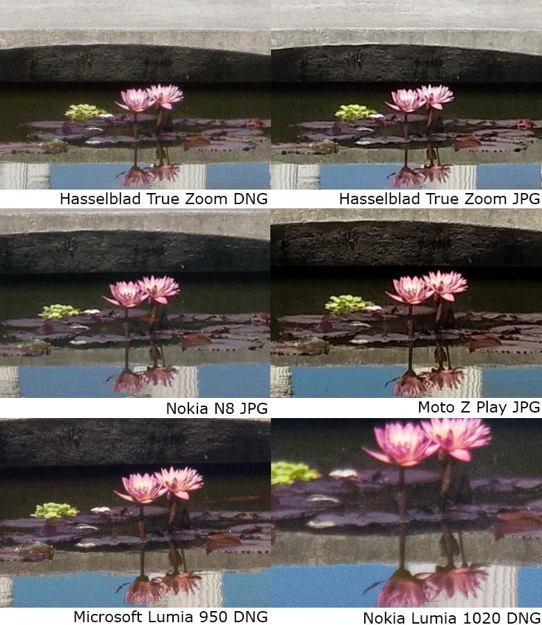 Hasselblad True Zoom MotoMod Review