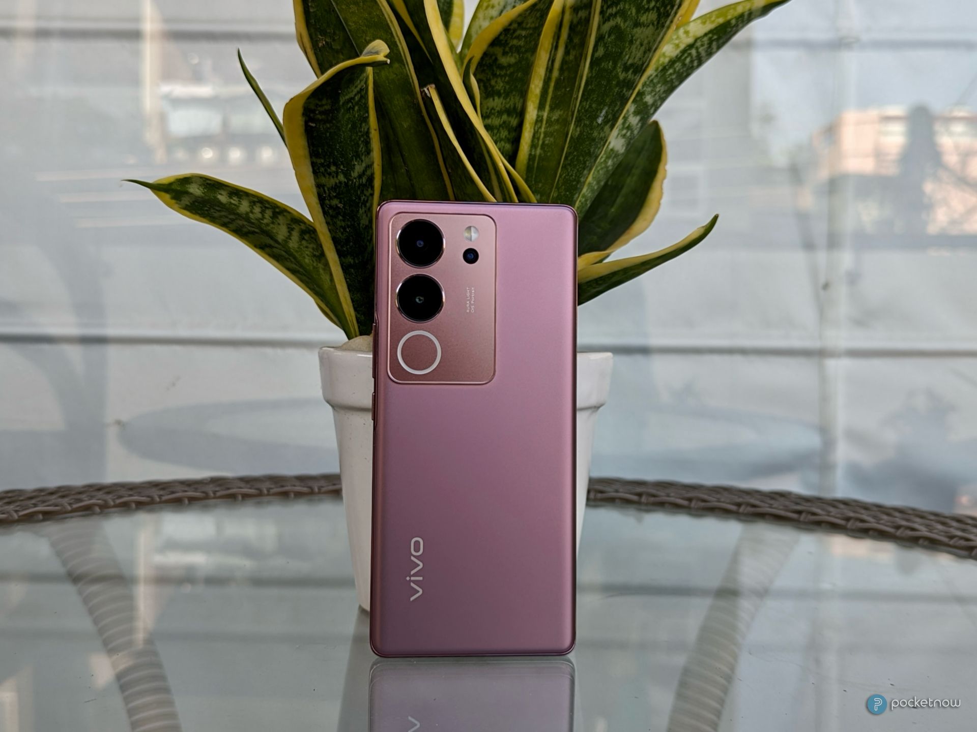 vivo V29 Review: Solid display and camera in a sleek package